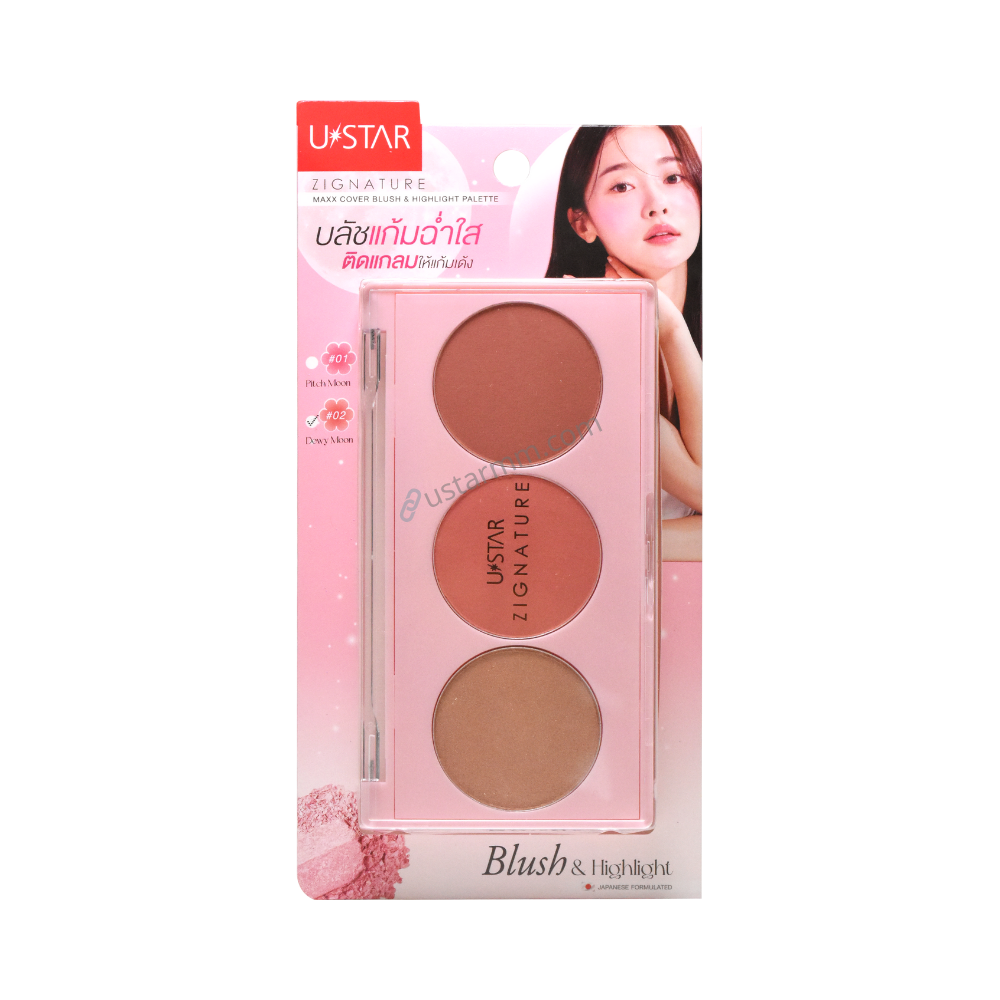 Zignature Maxx Cover Blush & Highlight Palette # 02 Dewy Moon – UStar ...