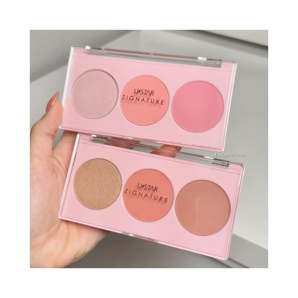 Zignature Maxx Cover Blush & Highlight Palette # 02 Dewy Moon – UStar ...